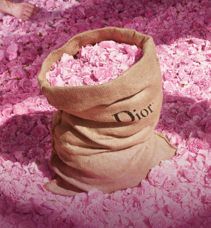 "Dior en roses", l’exposition-événement de Granville
