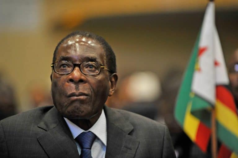 Mugabe family fortune revealed | Luxus Magazine