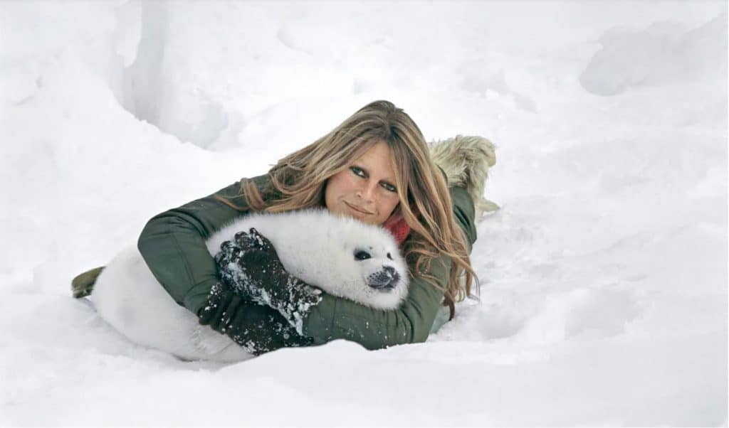 Bardot: France Television dedicates a mini-series to the glamorous icon ...